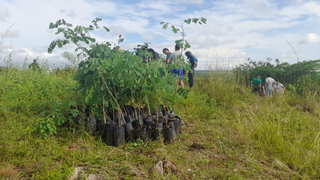 Trabajo articulado en la comuna 6 de Neiva, por el medio ambiente – Red ...